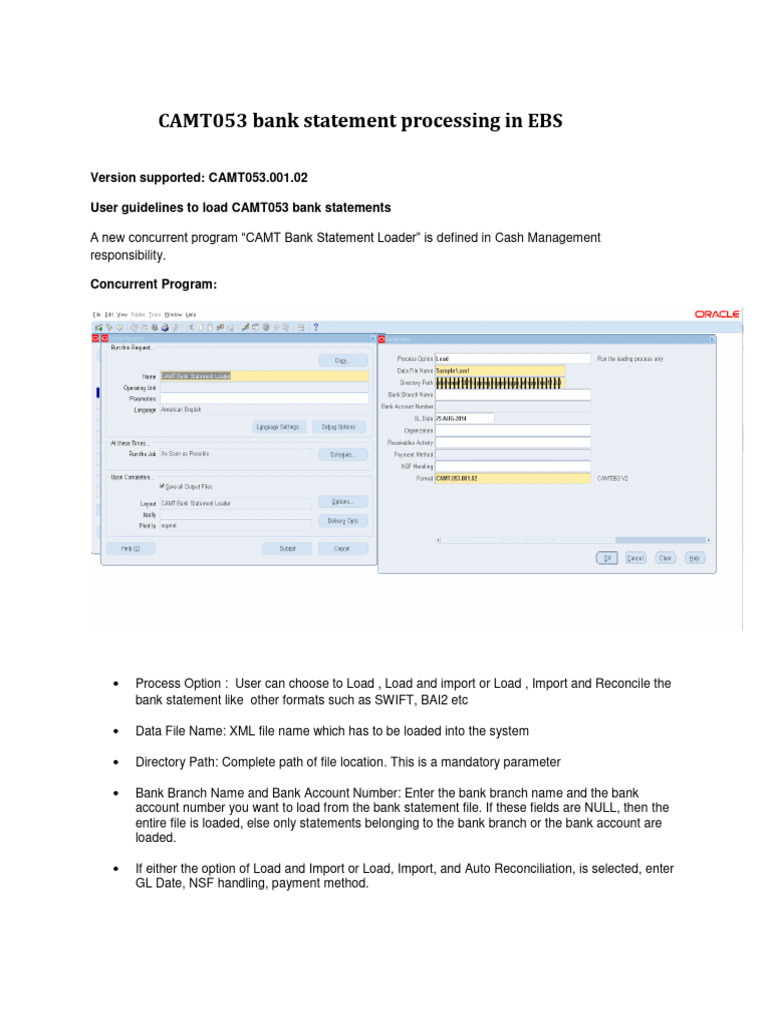 EBS CAMT053 Bank Statement Guide | PDF | Computing | Computer Programming