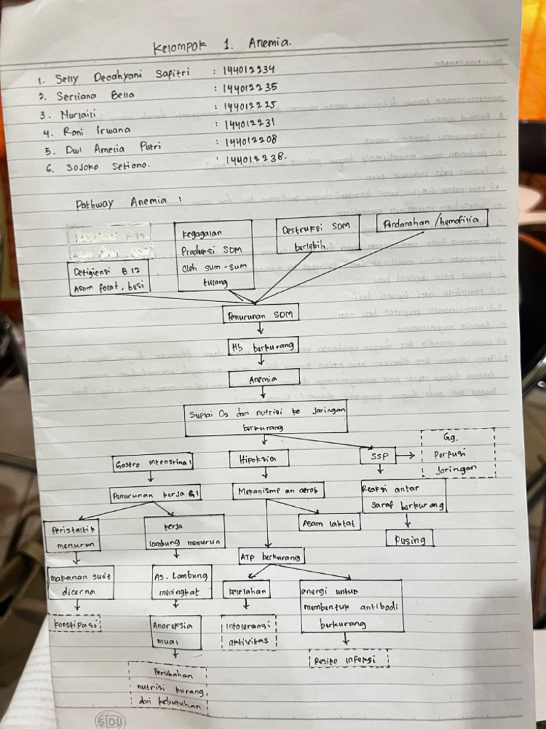 Penatalaksana Dan Pathway 2 | PDF