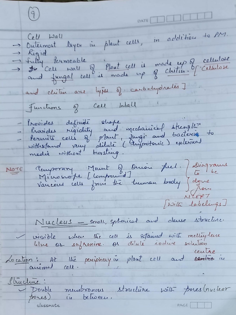 Cell Notes 05 | PDF