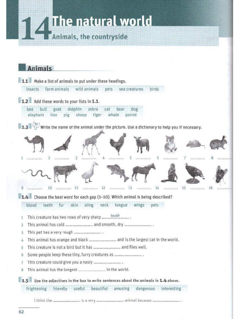 CB Vocabulary For PET 02 | PDF