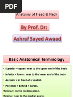 CT Protocols | PDF | Human Head And Neck | Skeletal System
