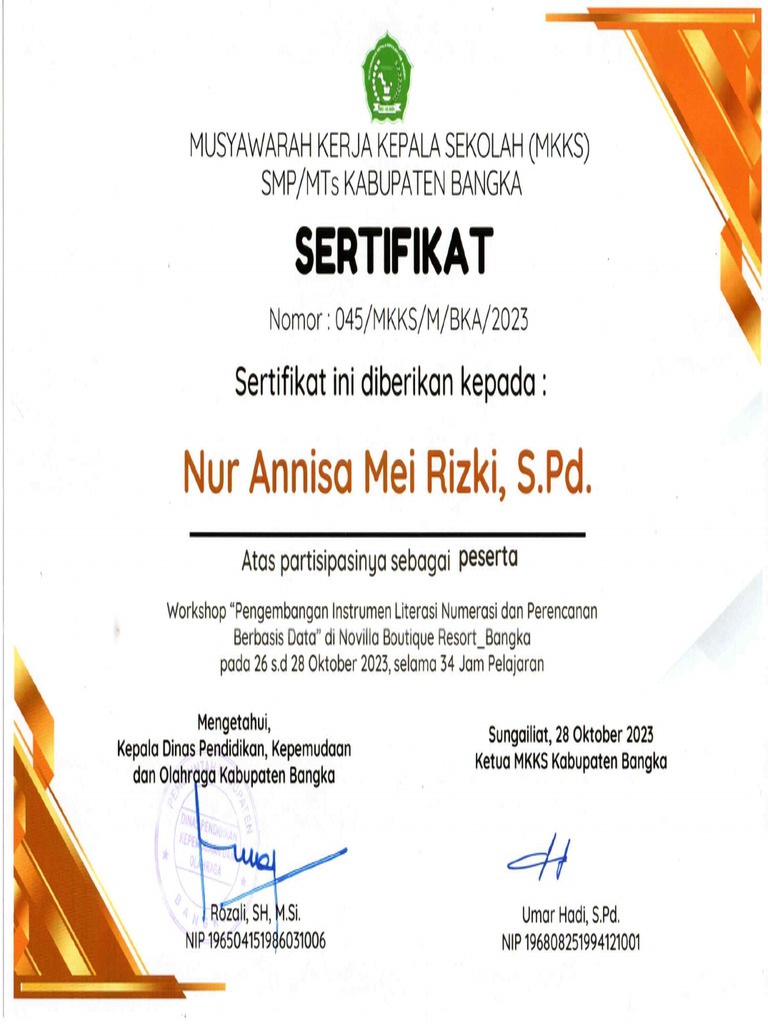 Salinan NUR ANNISA MEI RIZKI | PDF