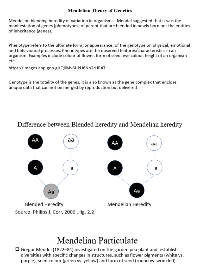 Mendelian Genetics Explained: Key Concepts | PDF | Dominance (Genetics ...