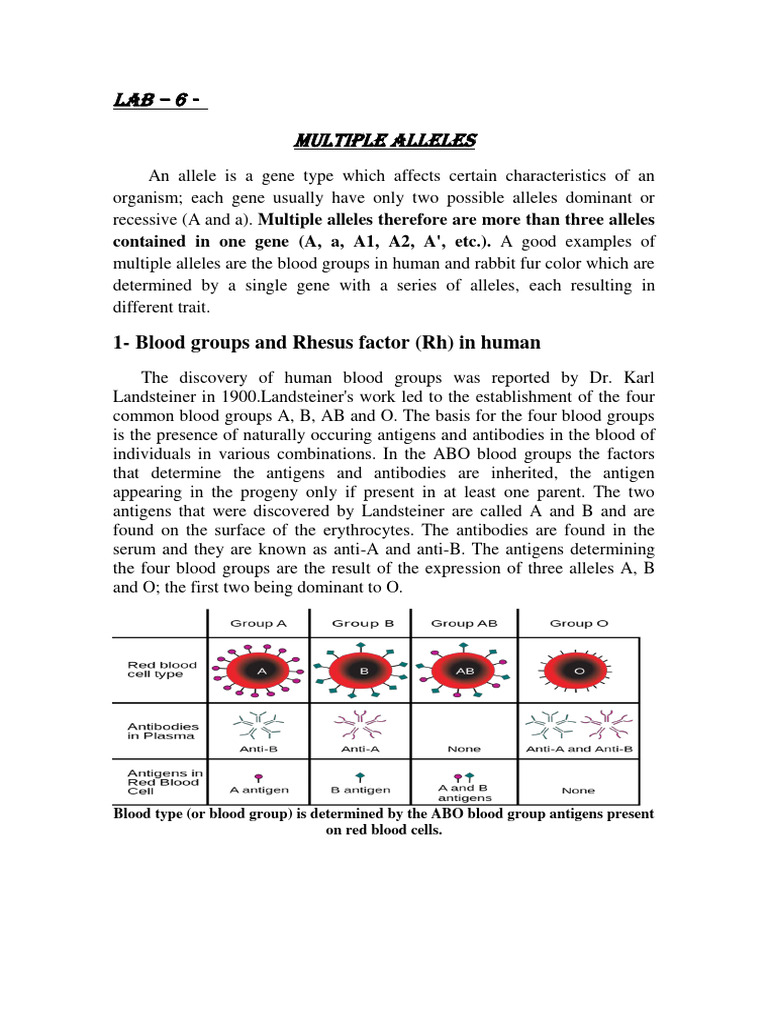 Multiple Alleles | PDF | Blood Type | Allele