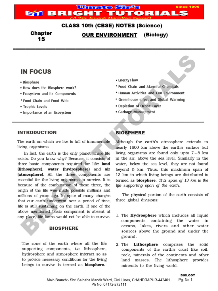 15 Our Environment | PDF | Greenhouse Effect | Earth
