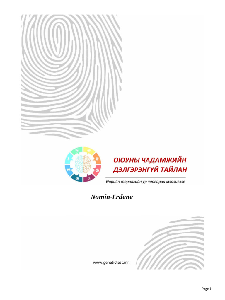 Nomin-Erdene E 99077595 | PDF