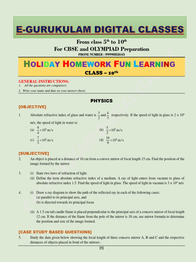 05 Holiday Homework Class 10 | PDF | Mirror | Chemical Reactions