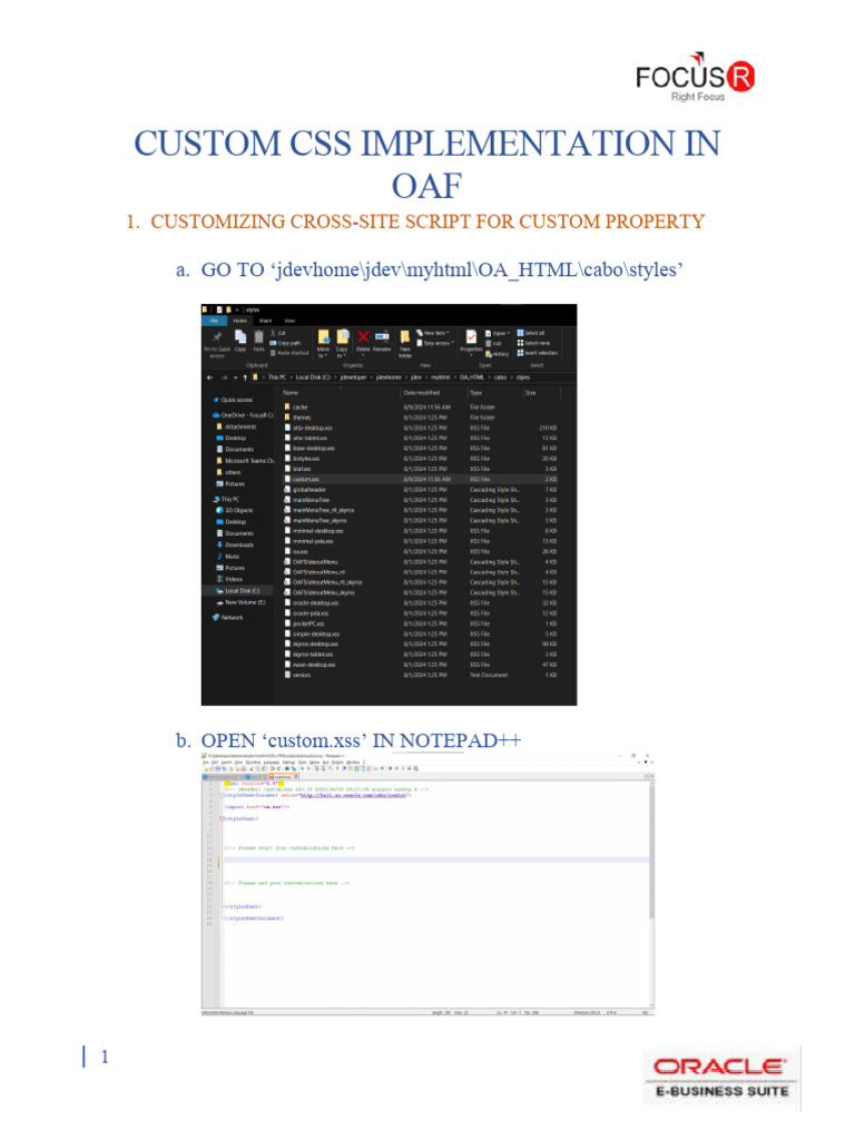 Custom CSS Implementation in Oaf | PDF | World Wide Web | Internet & Web