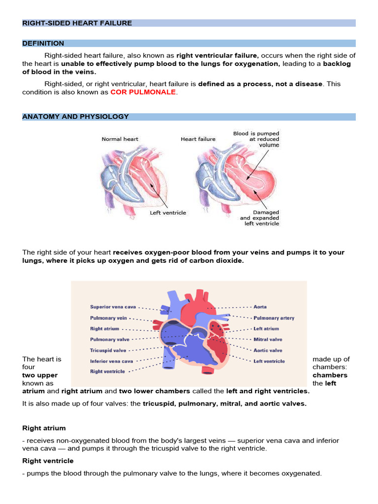 Understanding Right-Sided Heart Failure | PDF | Heart | Heart Failure