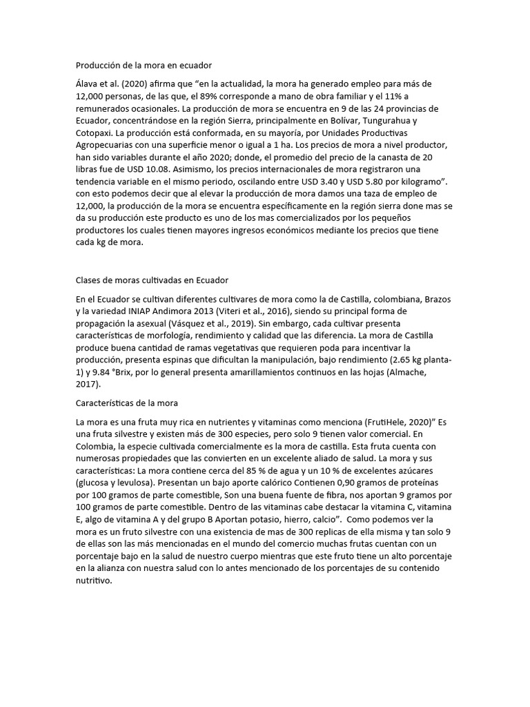 Beneficios y producción de la mora en Ecuador | PDF | Fruta | Ecuador