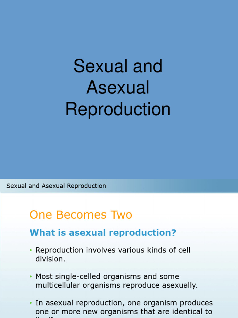 Sexual and Asexual Reproduction Notes | PDF | Sexual Reproduction ...