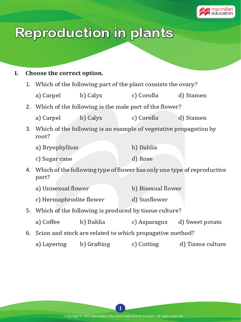Plant Reproduction Methods Explained | PDF | Flowers | Plant Morphology