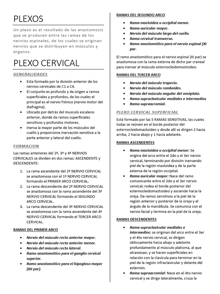 Plexos Completo | PDF | Extremidades (anatomía) | Tejido suave