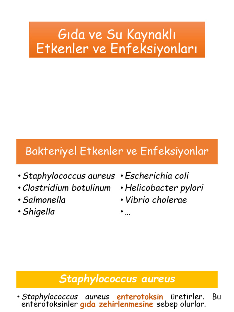 Genel Mikrobiyoloji Ders 6 | PDF