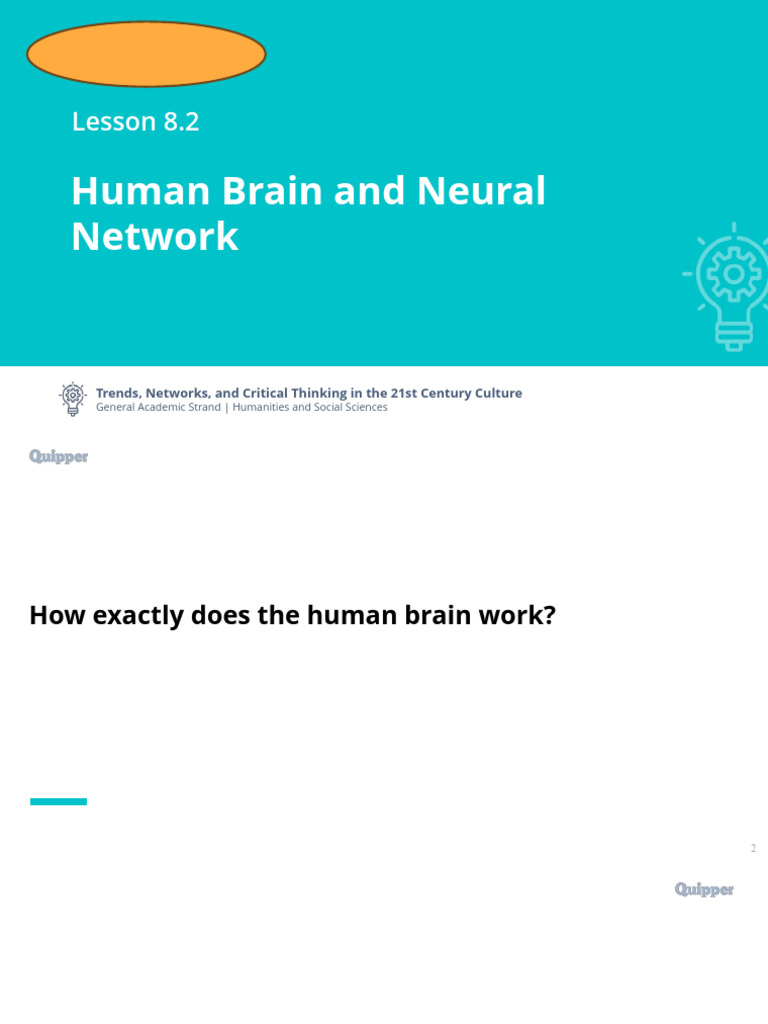 Lesson 8.2 Human Brain and Neural Network | PDF | Nervous System | Brain