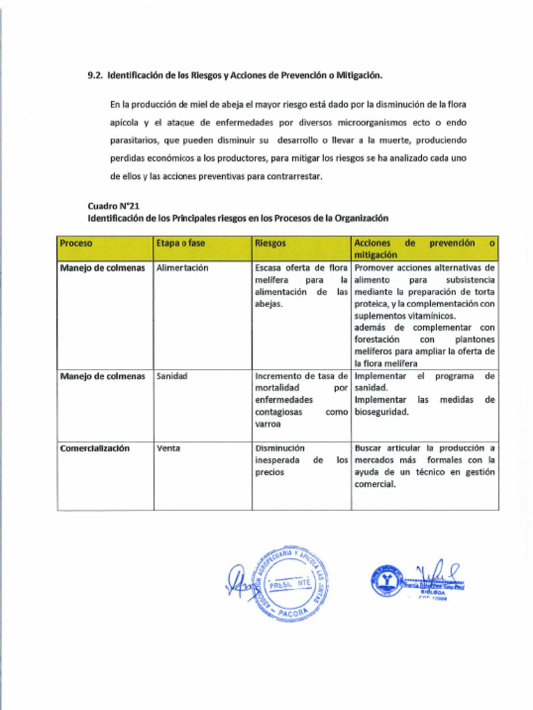 Matriz de Identificación de Riesgos | PDF