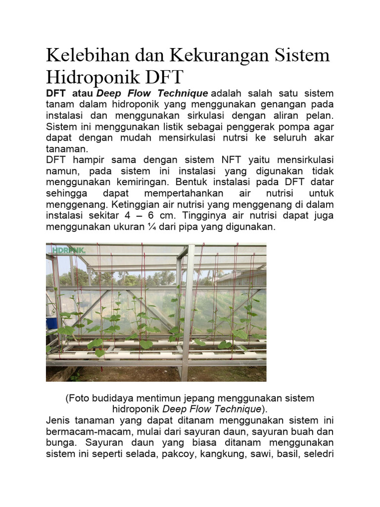 Kelebihan Dan Kekurangan Sistem Hidroponik DFT | PDF | Sains & Matematika