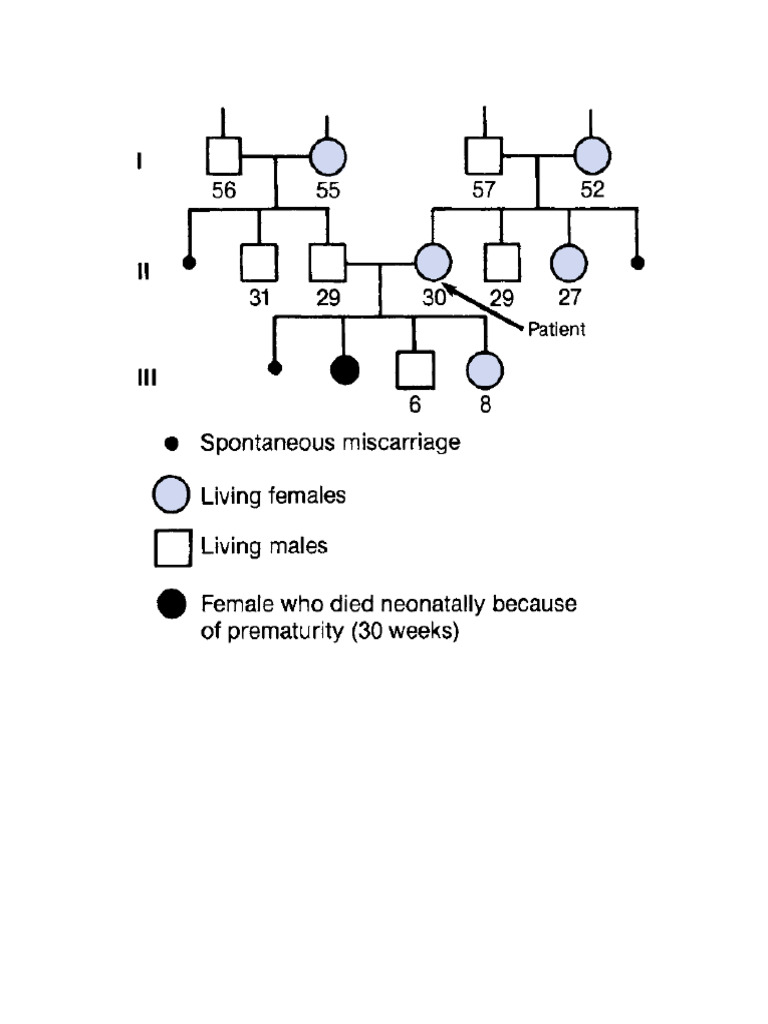 GENOGRAM | PDF