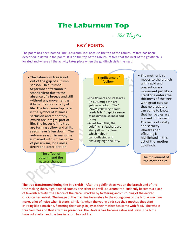 The Laburnum Top: Poem Analysis | PDF | Birds