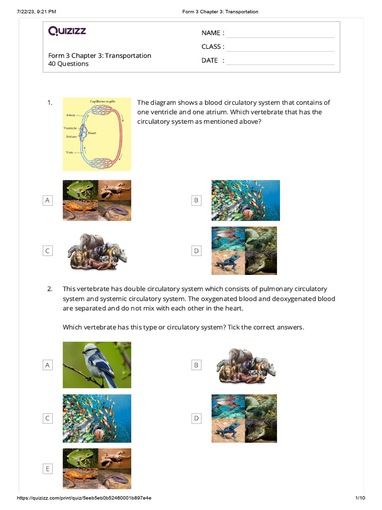 Form 3 Chapter 3 - Transportation | PDF | Heart Valve | Heart