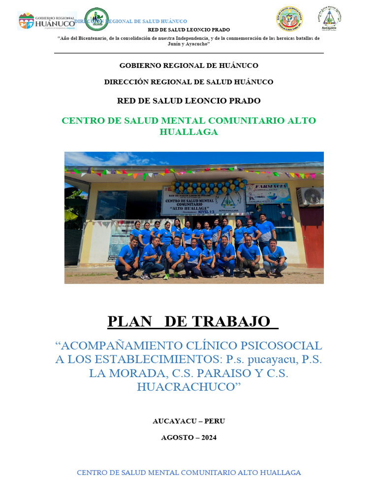 PLAN ACP Agostooo 2024 | PDF | Salud mental | Enfermería