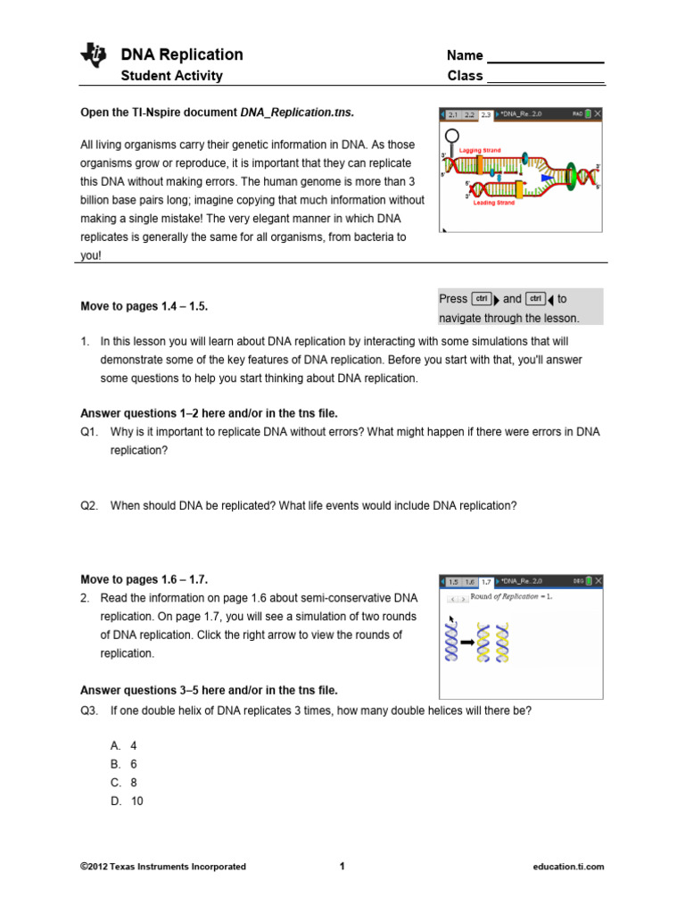 Understanding DNA Replication Process | PDF | Dna Replication | Dna
