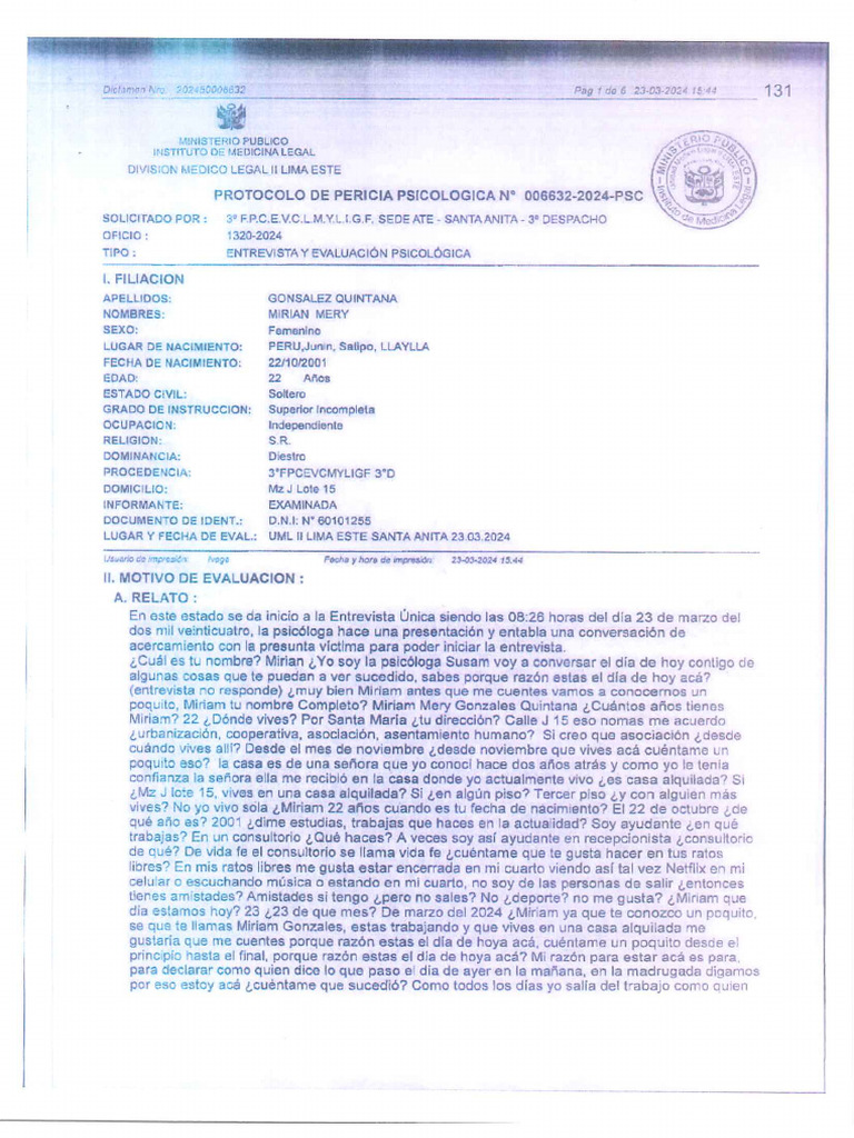 Protocolo de Pericia | PDF