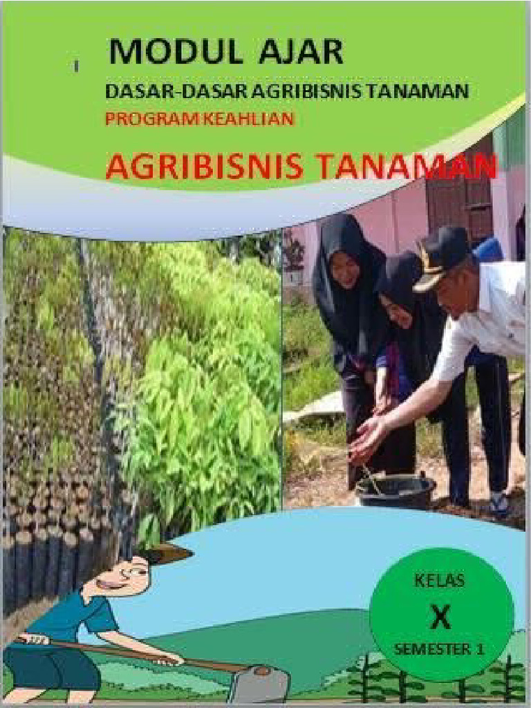 Modul Ajar Dasar-Dasar Budidaya Tanaman | PDF