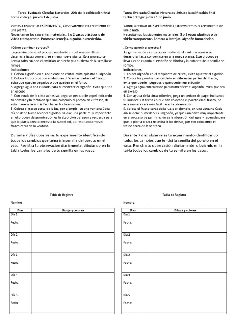 Tarea Evaluada Ciencias Naturales 20 | PDF | Germinación | Semilla