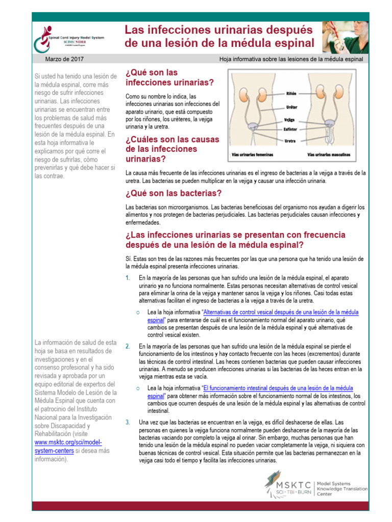 SCI UTI SP | PDF | Sistema urinario | Infección del tracto urinario