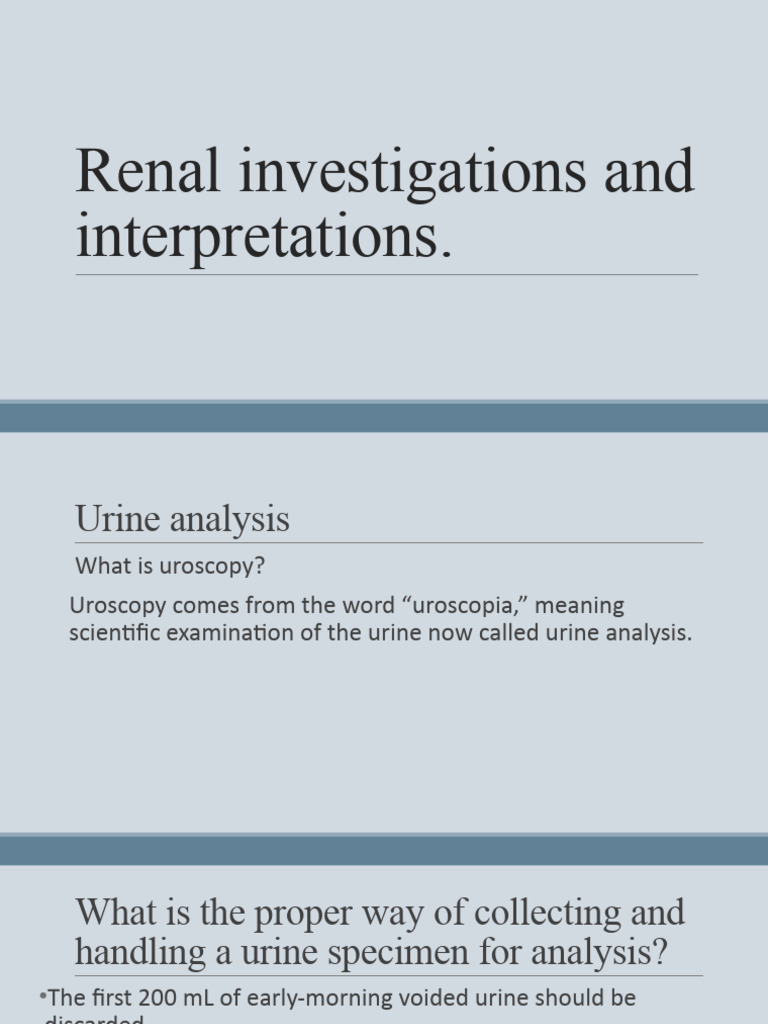 Urine Analysis and Renal Investigations | PDF | Kidney | Urinary System