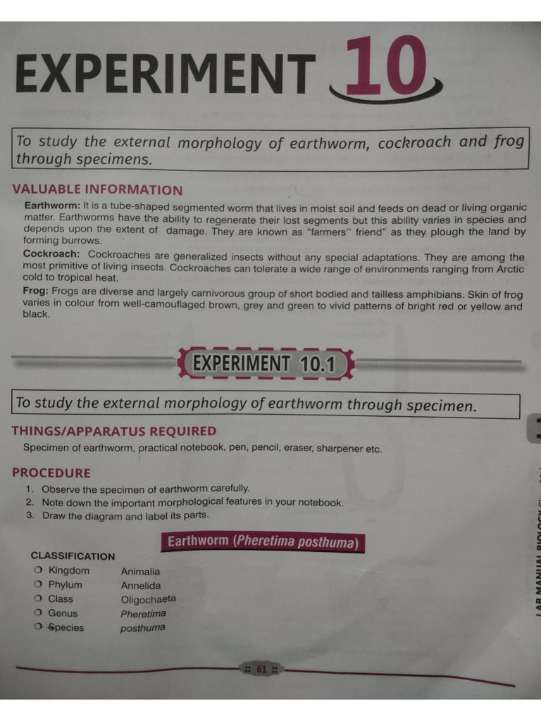Biology Experiment 10 | PDF