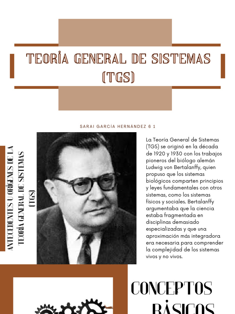 Fundamentos de la Teoría General de Sistemas | PDF | Sistema | Teoría ...
