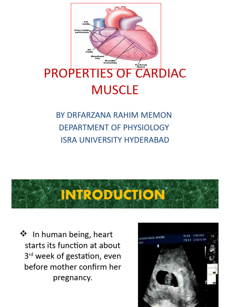 Properties of Cardiac Muscle | PDF | Cardiac Muscle | Action Potential Properties of Cardiac Muscle | PDF | Cardiac Muscle | Action Potential
