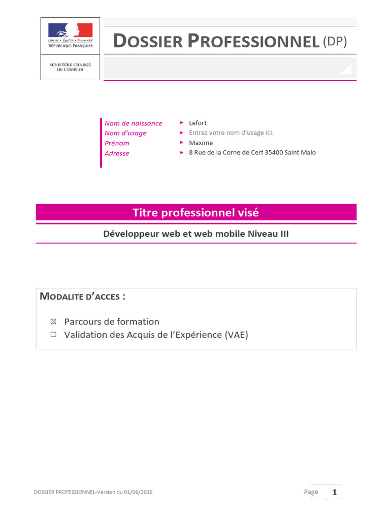 Dossier Professionnel Développeur Web | PDF | PHP | Internet