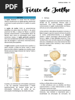 11 - Região Poplítea | PDF | Joelho | Anatomia humana
