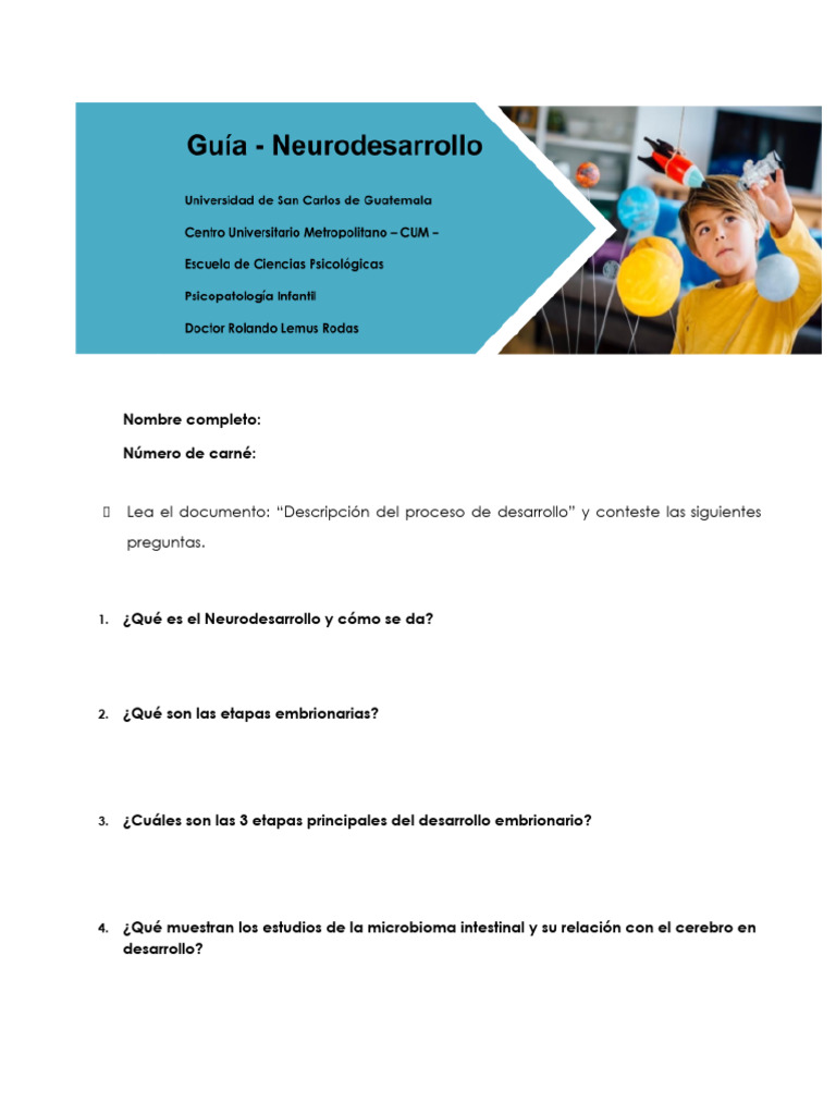 Guía 11 - Neurodesarrollo | PDF | Cerebro | Neuroplasticidad
