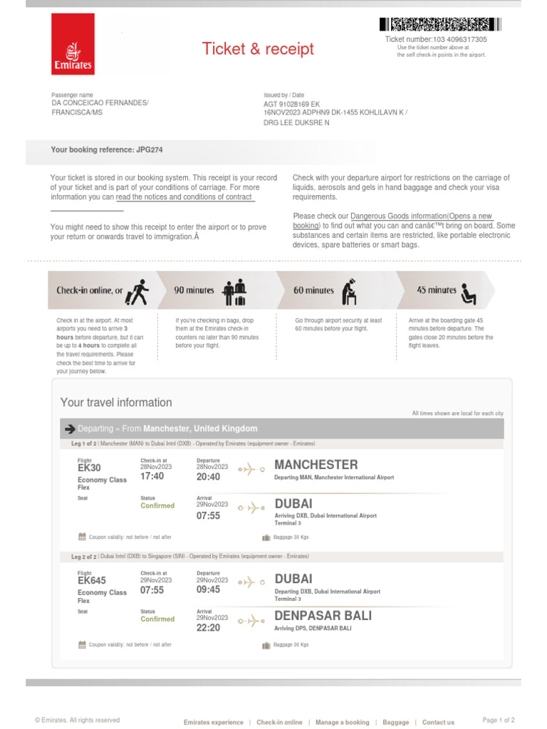 Fernandes Bali | PDF | Baggage | Aviation