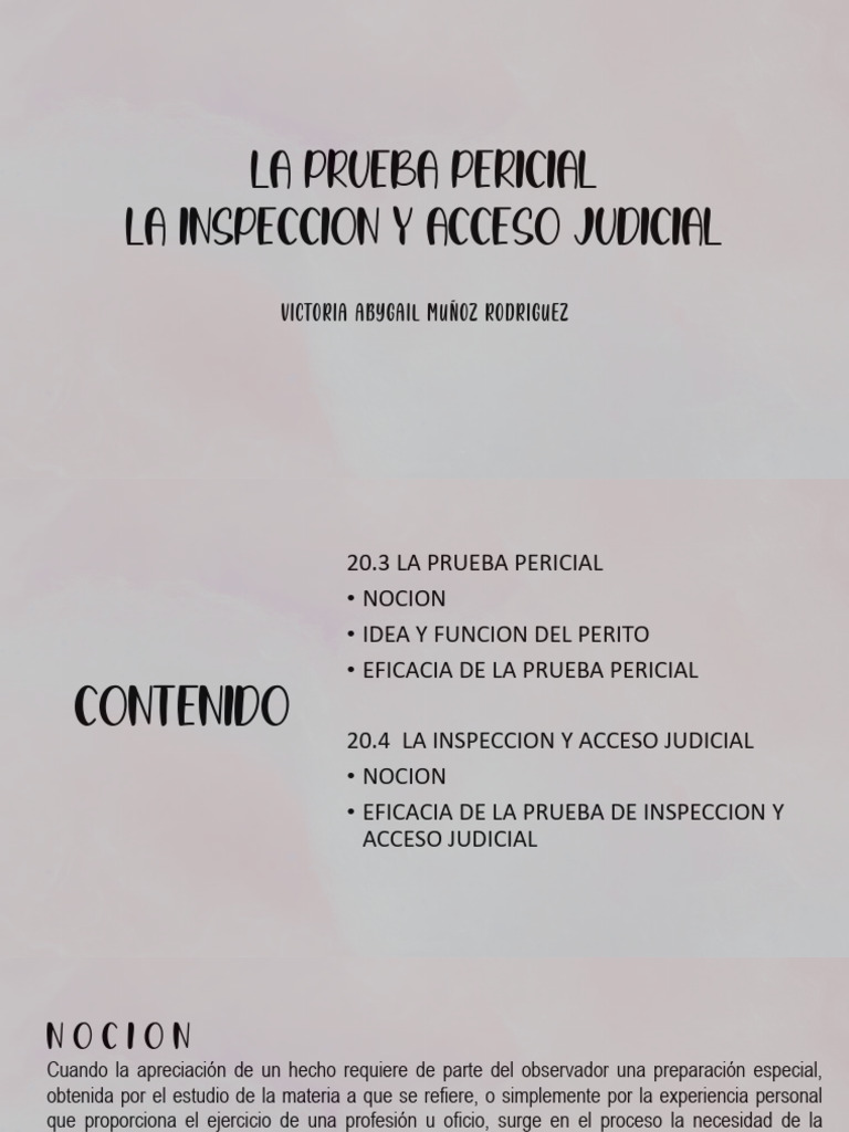 Pruebas Periciales en Materia Civil | PDF | Testigo experto | Ley común