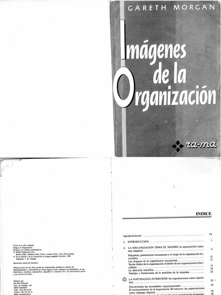 Morgan - Cap 1 | PDF