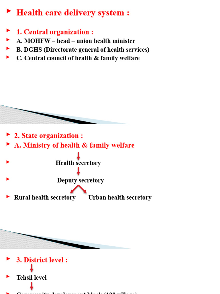 Health Care Delivery System | PDF | Vaccines | Medicine