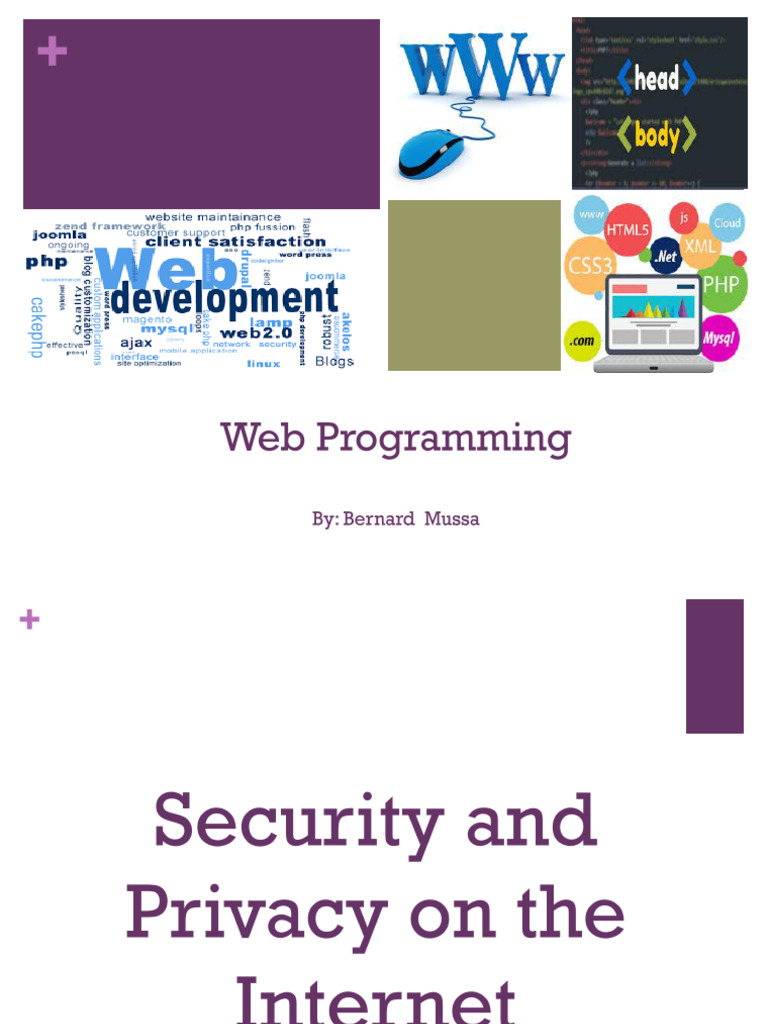 Internet Security and Privacy | PDF