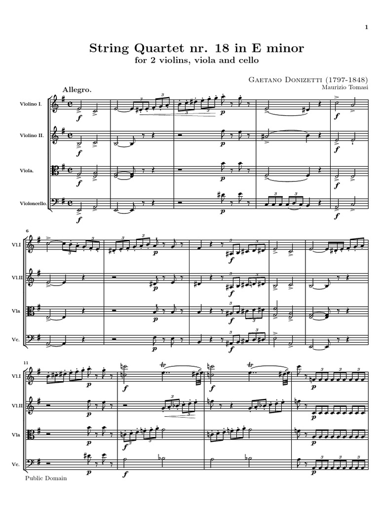 Donizetti Gaetano String Quartet NR 18 in e Minor 29 | PDF