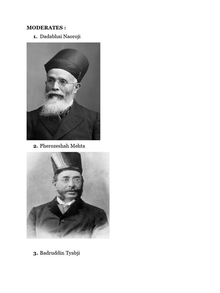 Moderates and Radicals | PDF