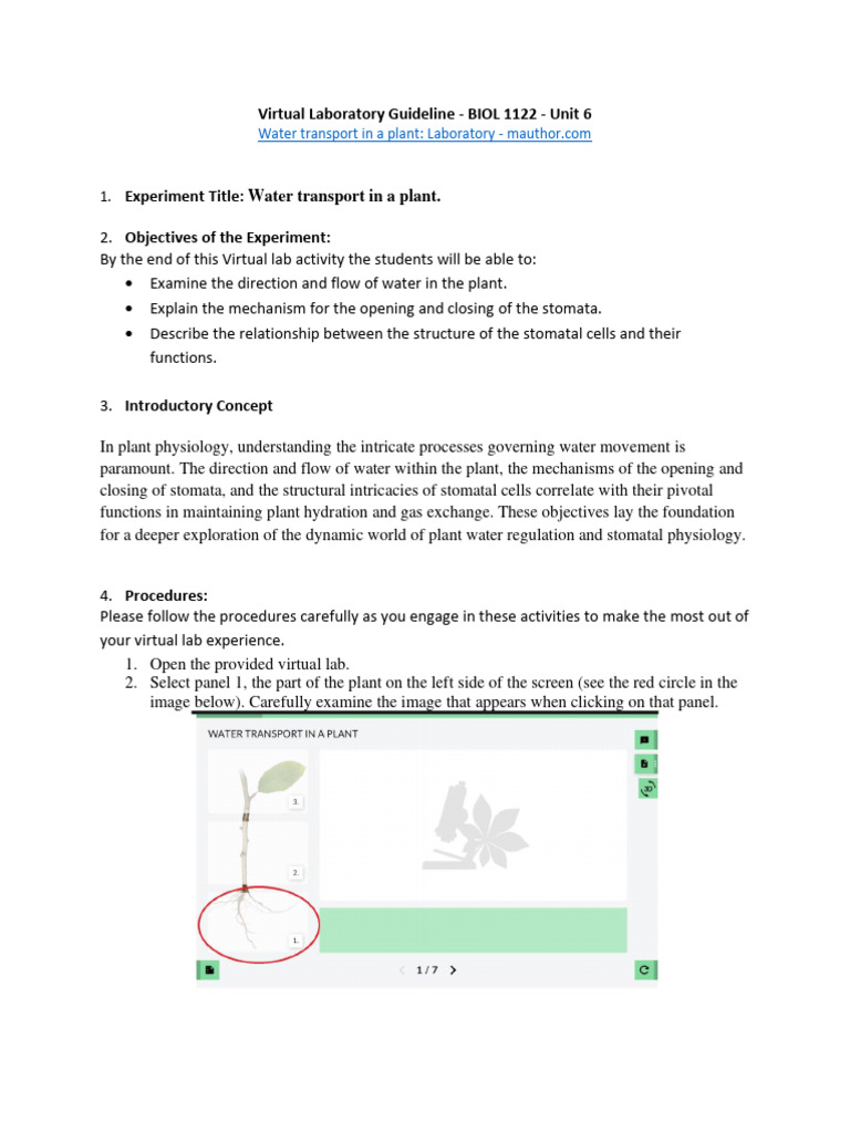 Virtual Laboratory Guideline - BIOL 1122 - Unit 6 | PDF | Stoma | Biology