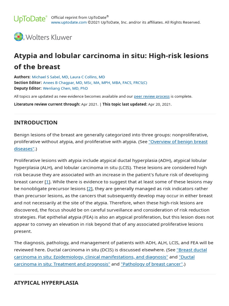 Atypia and Lobular Carcinoma in Situ - High-Risk Lesions of The Breast ...