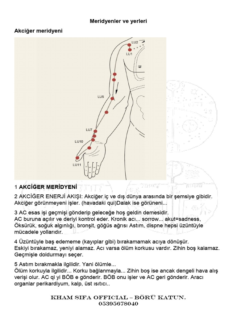 Meridyenler Ve Yerleri | PDF