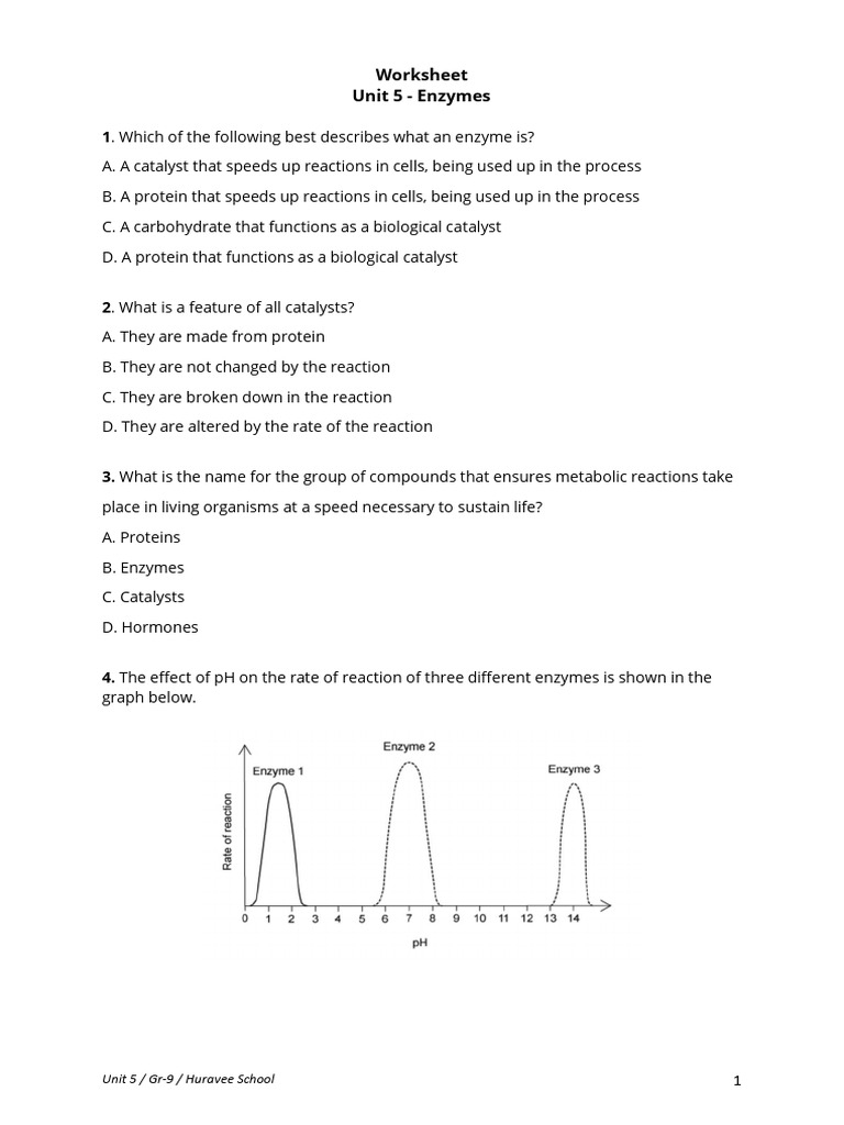 Enzymes Worksheet | PDF