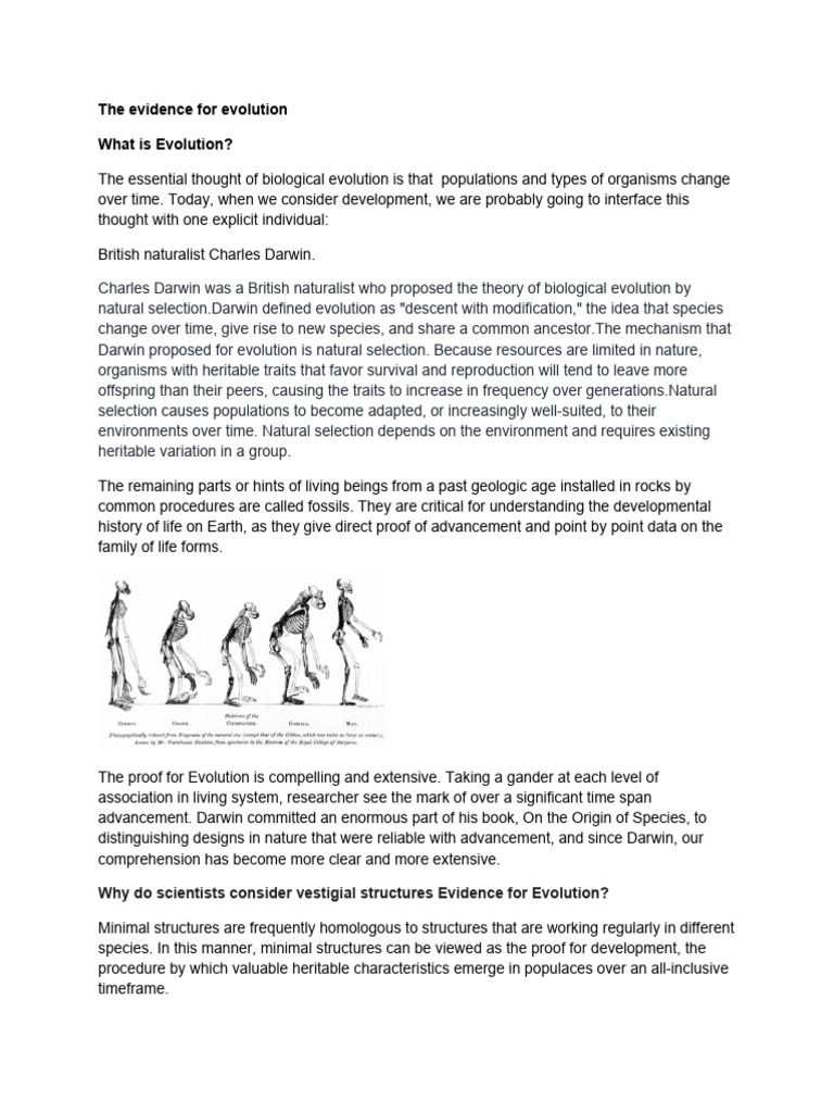 The Evidence For Evolution | PDF | Evolution | Natural Selection