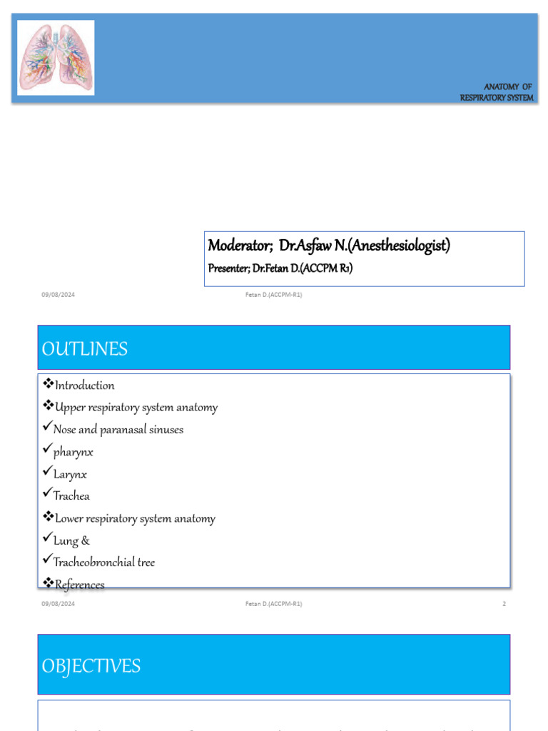 Respiratory Anatomy Seminar | PDF | Larynx | Lung